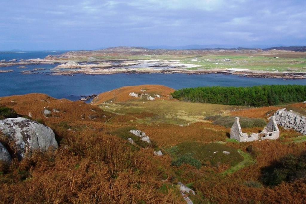 Isle of Erraid - Seaview bed and breakfast